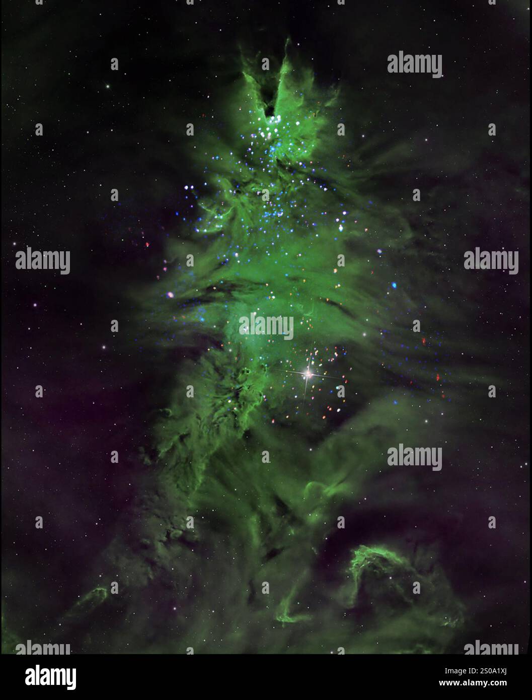 Space. 25th Dec, 2024. A new version of the 'Christmas tree cluster ...