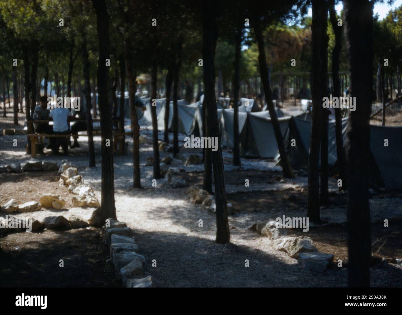 Us invasion lebanon 1958 hi-res stock photography and images - Alamy