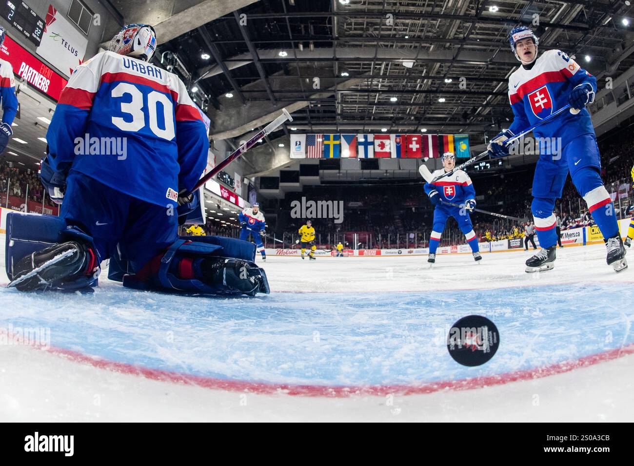 Goaltender Samuel Urban and Samuel Barcik of, Slovakia. , . look ...
