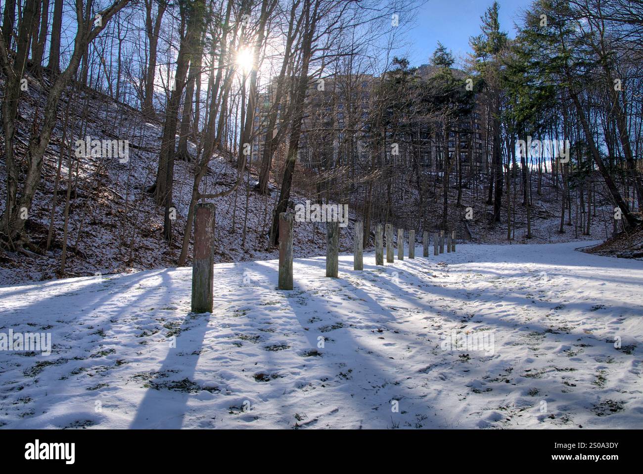 Footpath with snow in the park in winter Stock Photo - Alamy