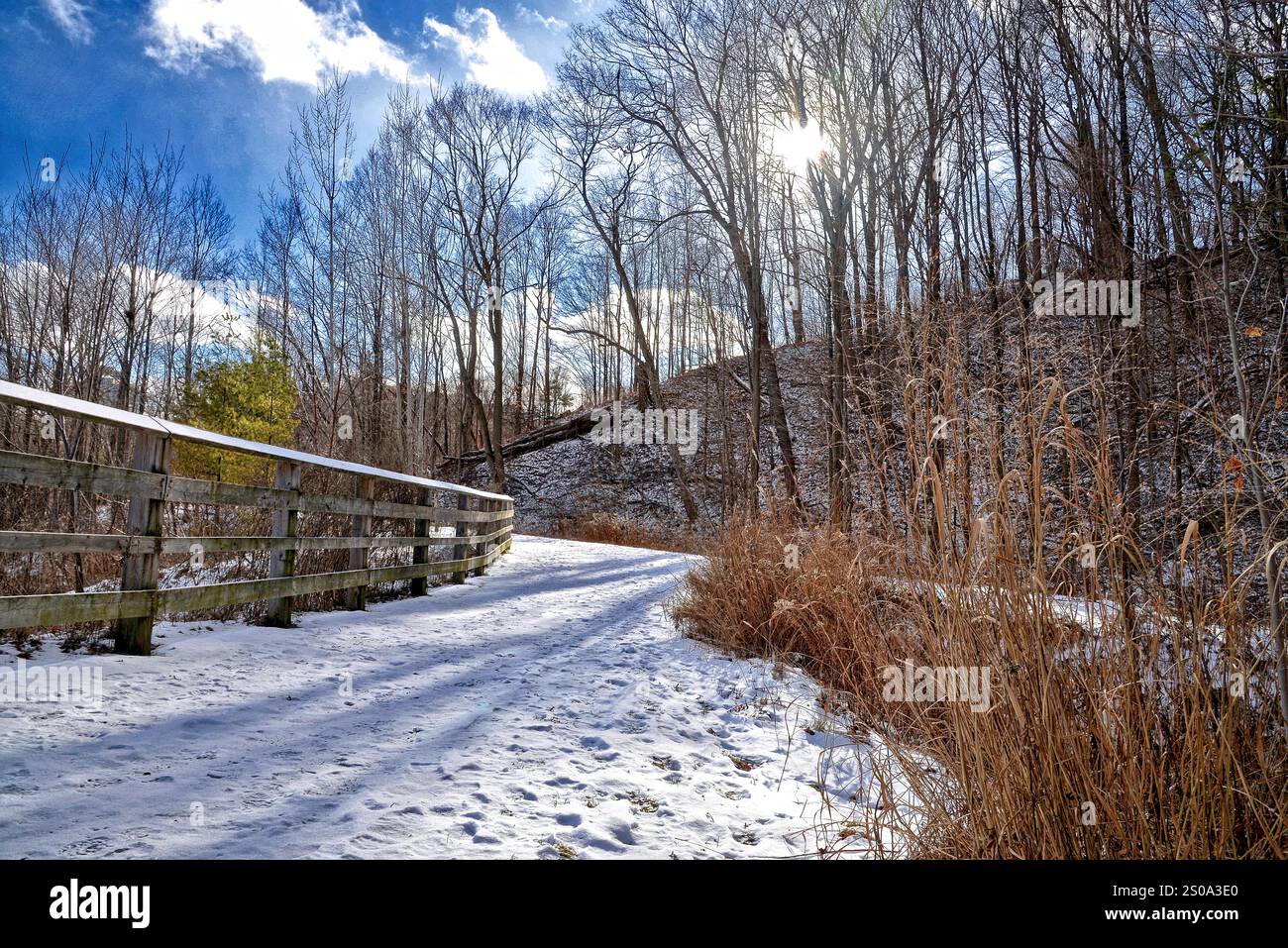 Footpath covering with snow in the park with lens flare Stock Photo - Alamy