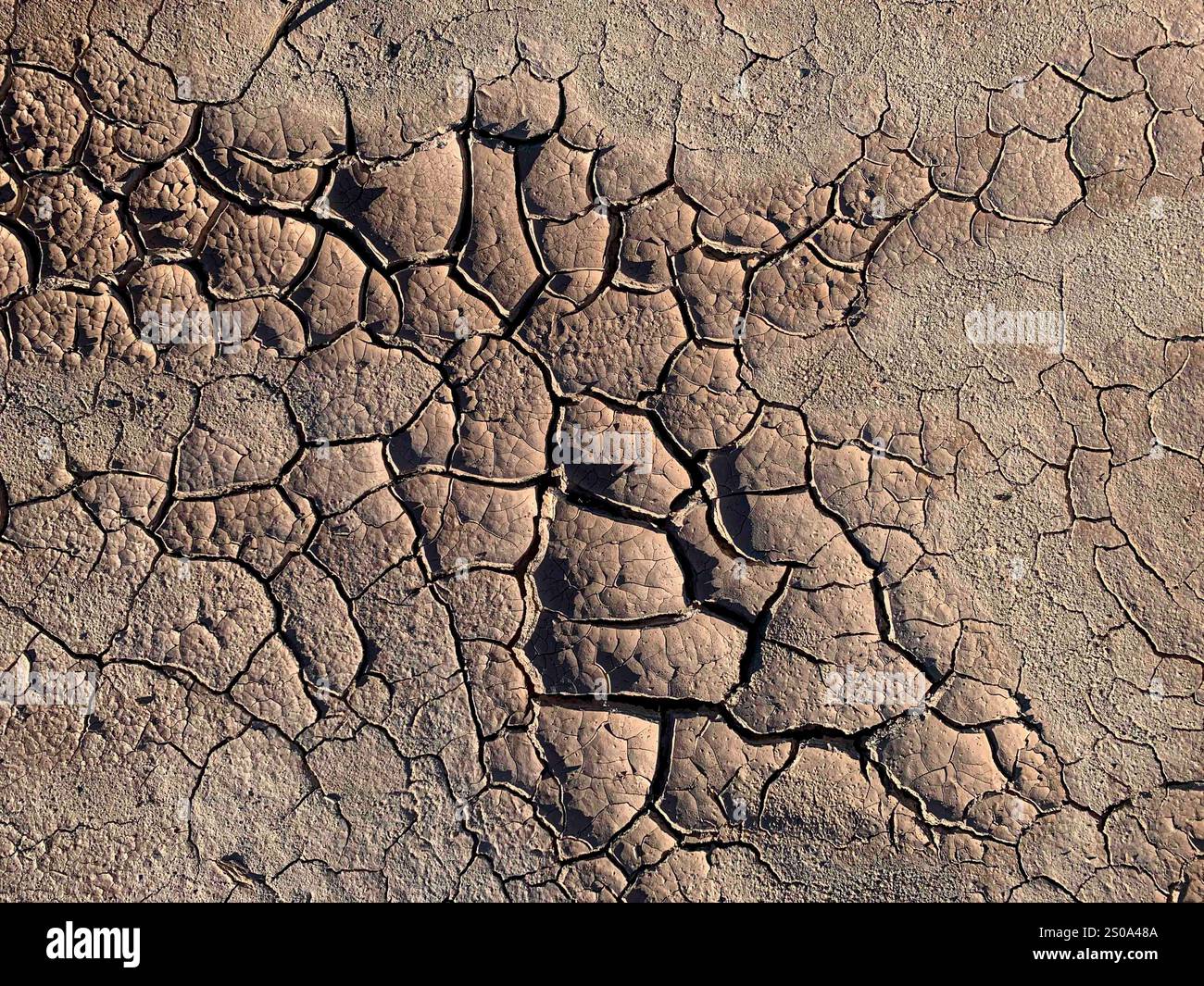 Horizon and cracked soil in an arid area with extreme drought in the ...