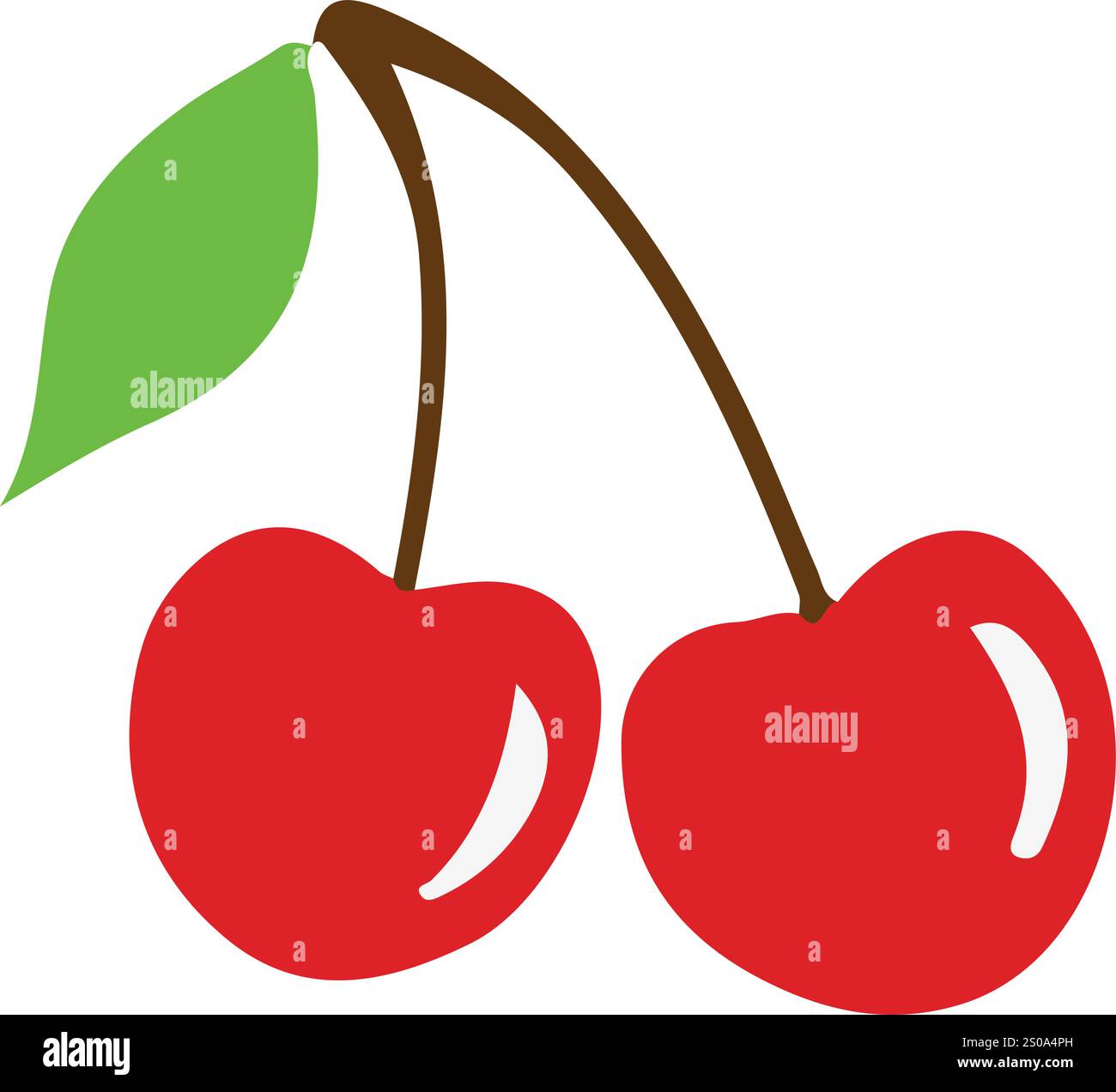 vector cherry, sour cherry, fruit drawing designs Stock Vector Image ...