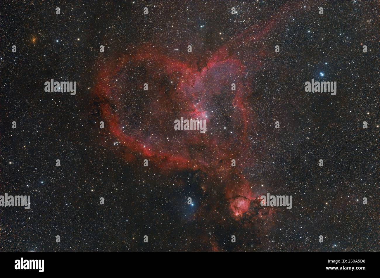 Astrophotography of Heart Nebula IC1805. Emission Nebula in the ...
