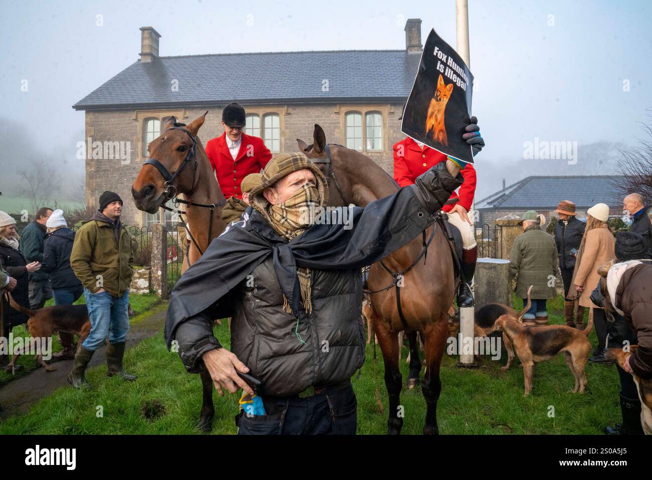 Priddy Green, Somerset, UK, 26th December: Local hunt sabs defend their ...