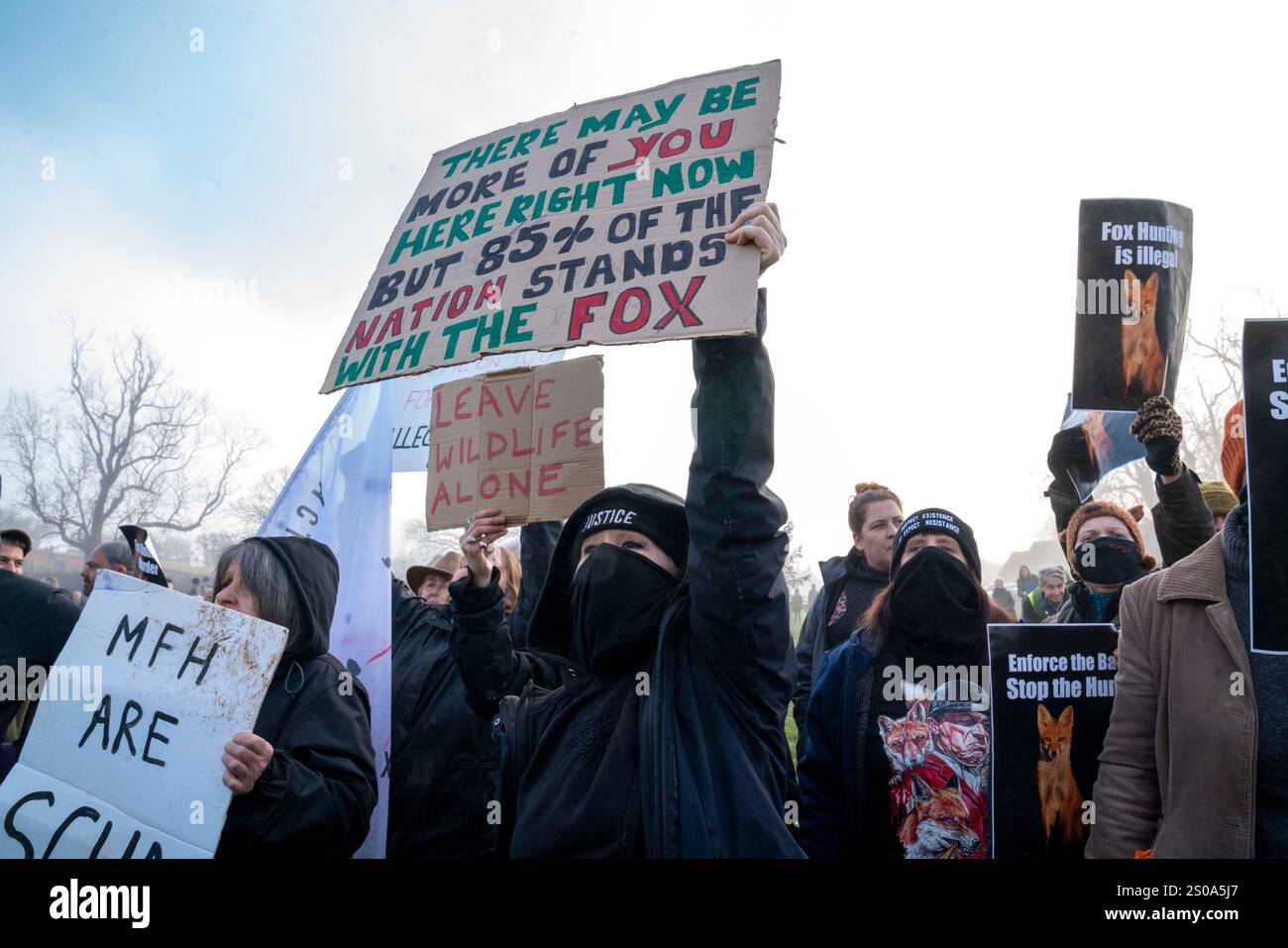 Priddy Green, Somerset, UK, 26th December: Local hunt sabs defend their ...