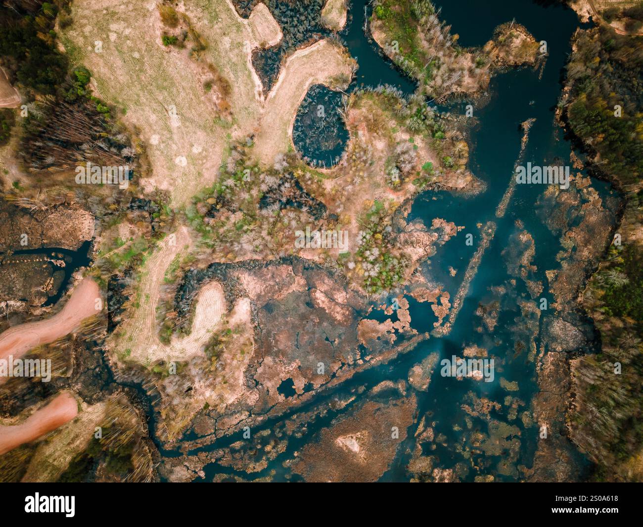 An aerial perspective captures a wetland's intricate network of dark ...