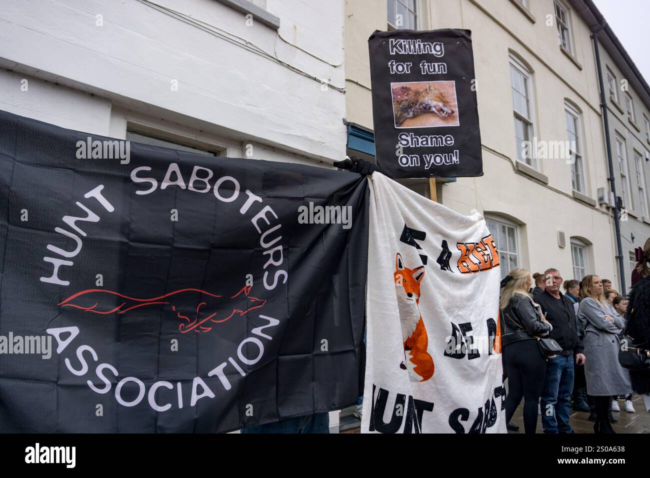 Leominster, UK. 26th Dec, 2024. Anti hunting banners are seen during ...