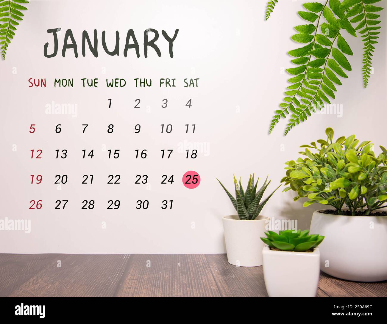 25 January calendar table with blurred nature background. With ...