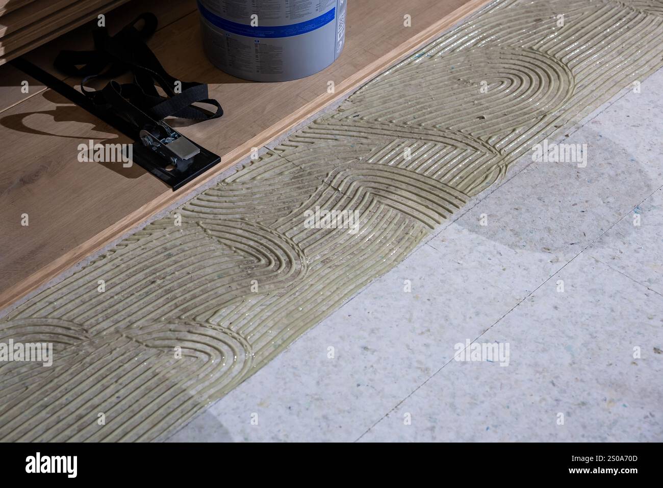 Wooden floorboards are being installed, with adhesive spread in a wavy ...