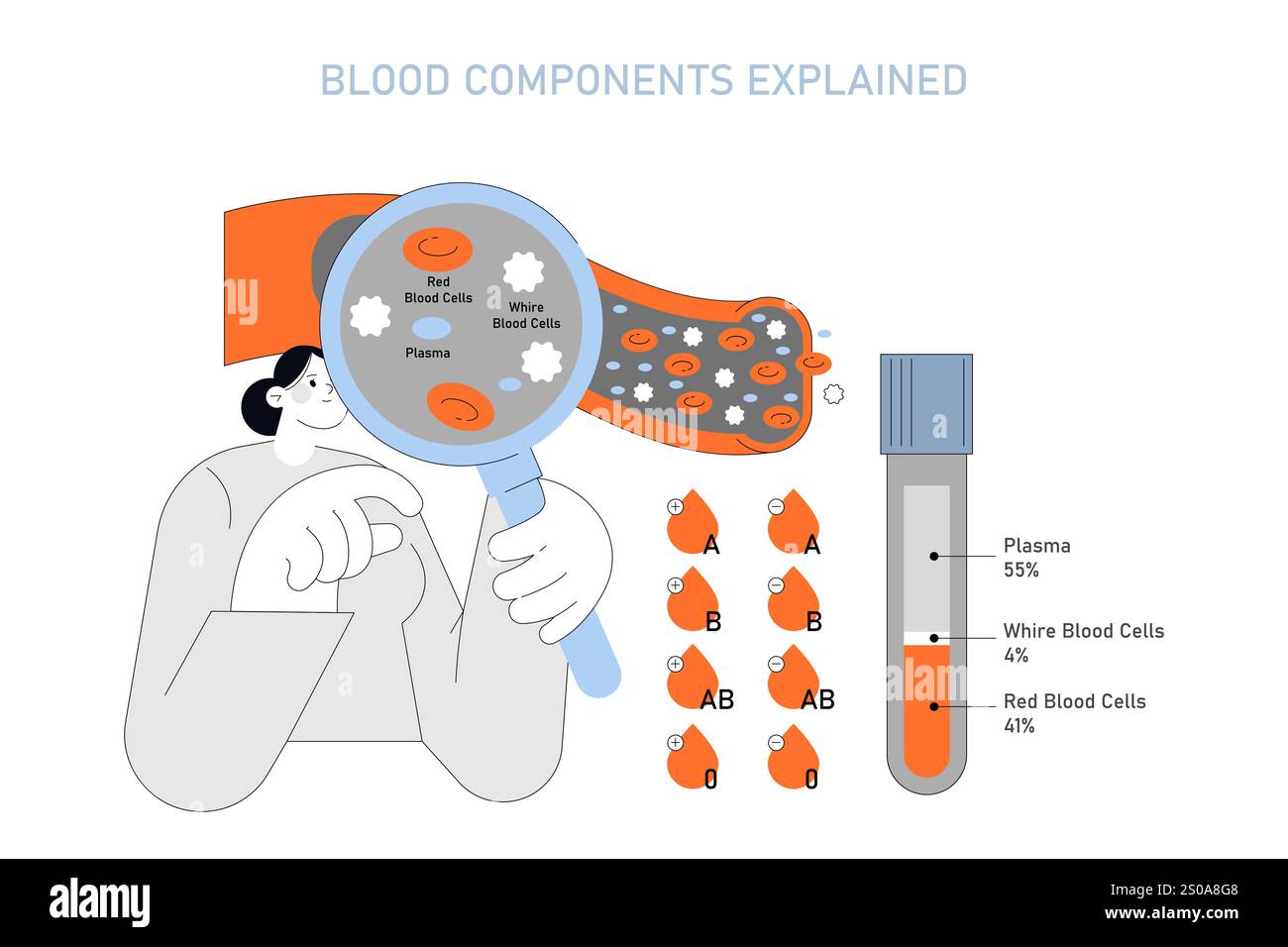 Blood Donor Day concept. Informative illustration detailing blood ...