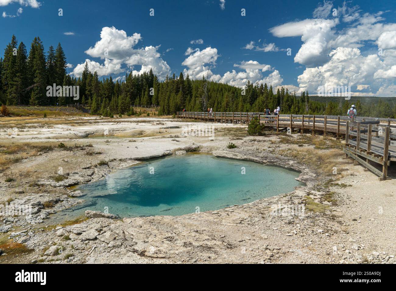 Collapsing Pool, a hot spring in the West Thumb Basin in Yellowstone ...