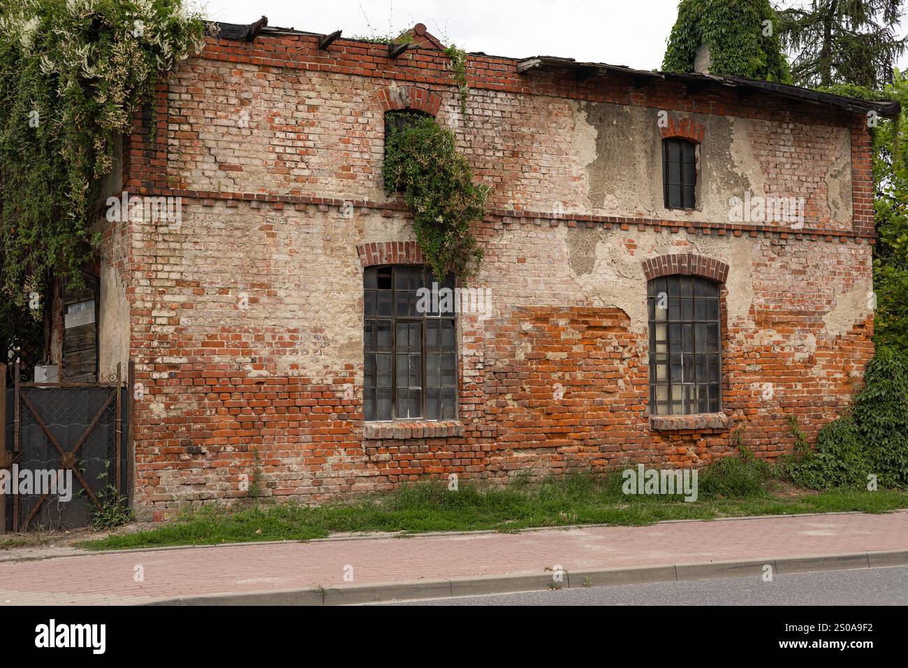 Old abandoned brick building with overgrown greenery and worn windows ...