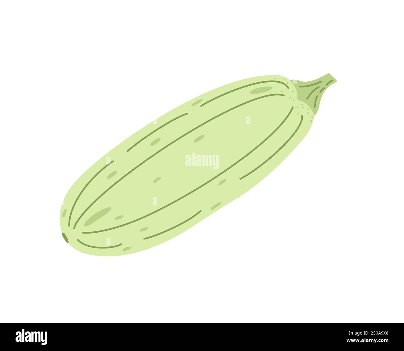 Zucchini fresh vegetable hand drawn simple doodle illustration, healthy ...