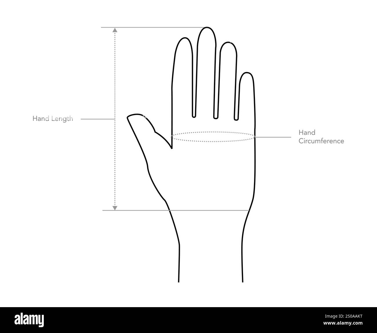 Diagram of measuring hands for Gloves, mittens, mitts Fashion accessory ...