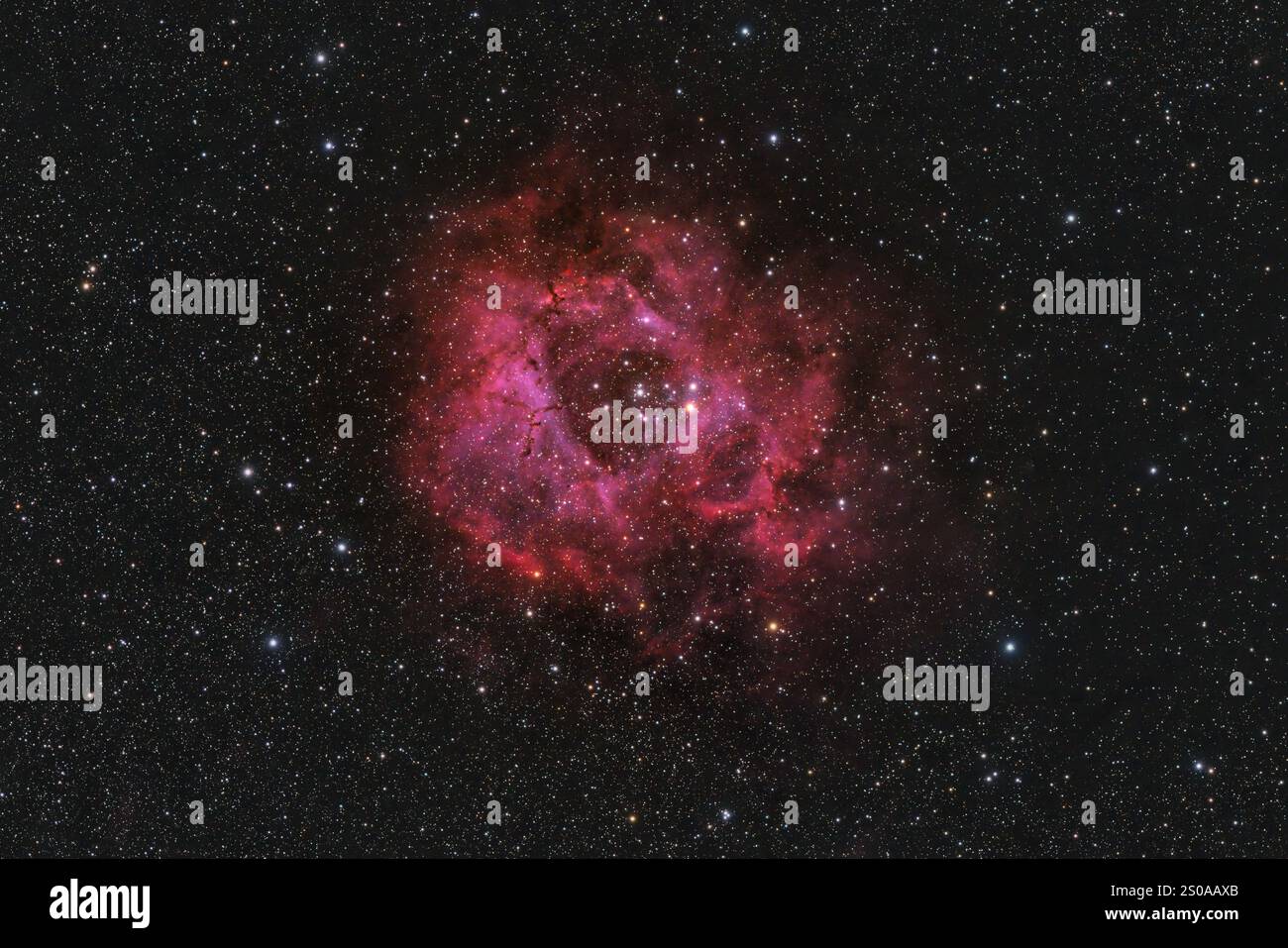 Real astrophotograph of Rosette Nebula, NGC 2237 a stunning emission nebula in the Monoceros ...