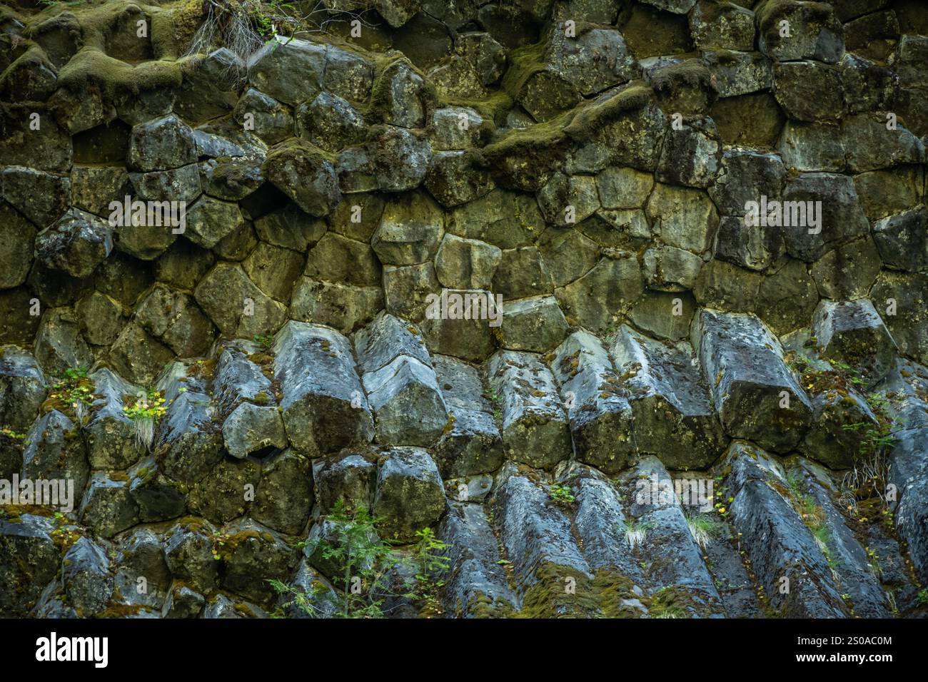 Texture At The Base of Basalt Columns In Mount Rainier National Park ...