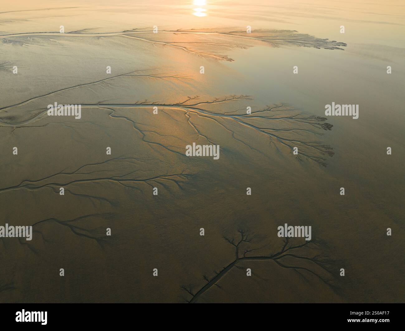 Jiaxing, China. 27th Dec, 2024. Tidal trees are seen on the Qiantang ...