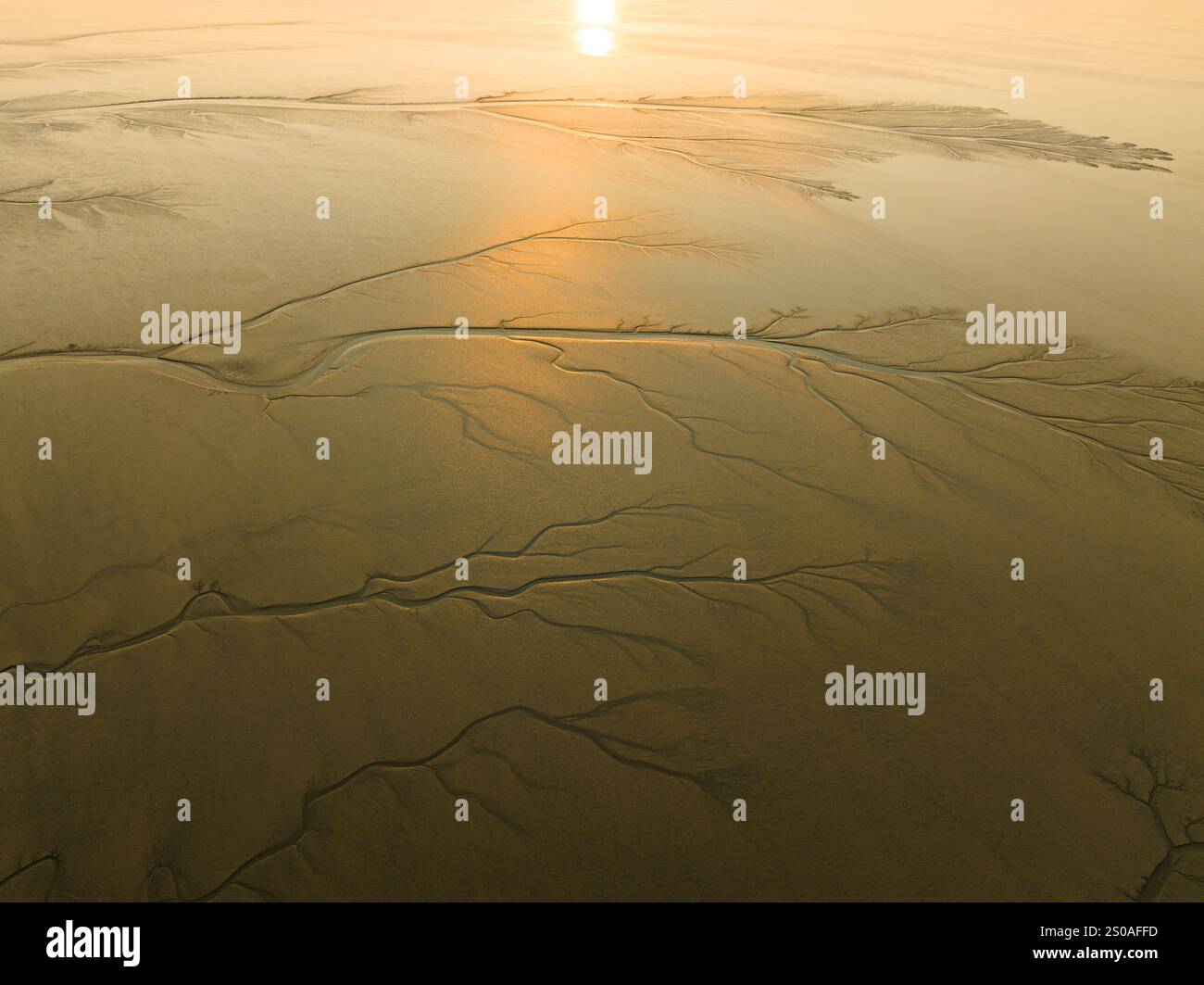 Tidal trees are seen on the Qiantang River in Jiaxing, Zhejiang ...