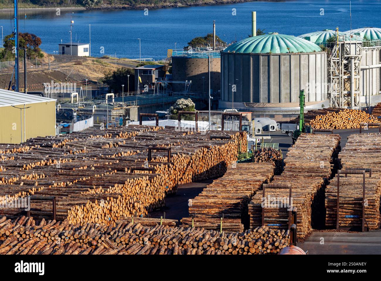 Hobart Tasmania, timber logging supplies ready for export at Macquarie ...