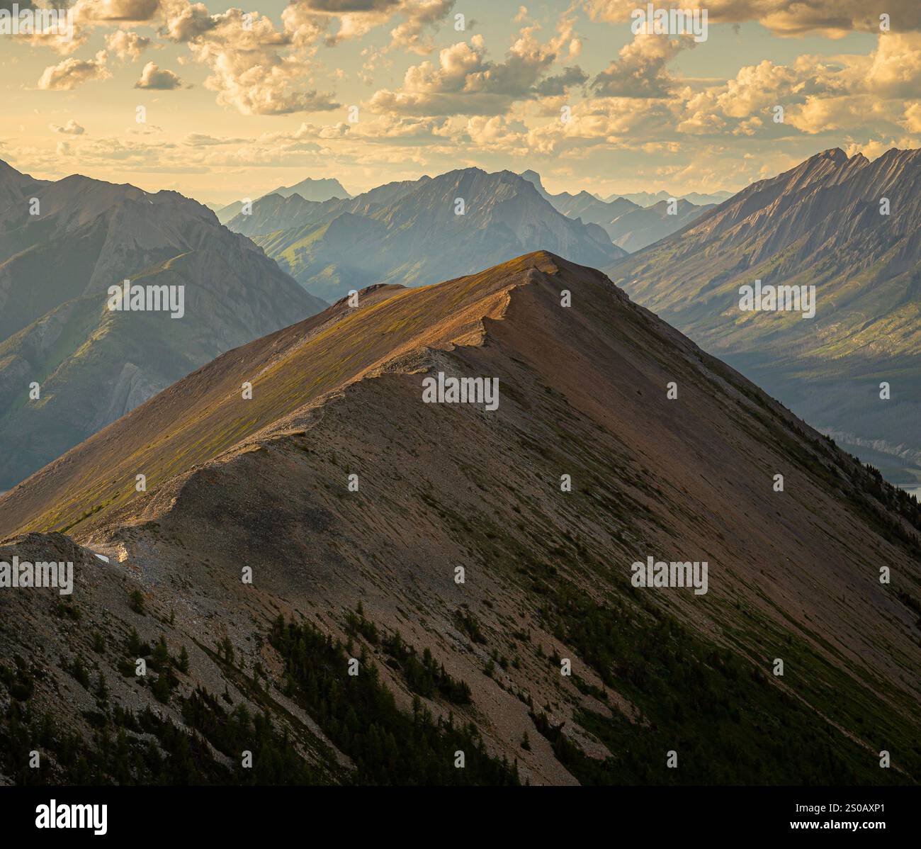Views while hiking Tent Ridge in Alberta's Kananaskis Country Stock ...