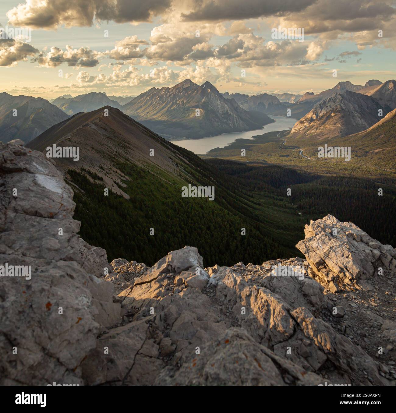 Views while hiking Tent Ridge in Alberta's Kananaskis Country Stock ...