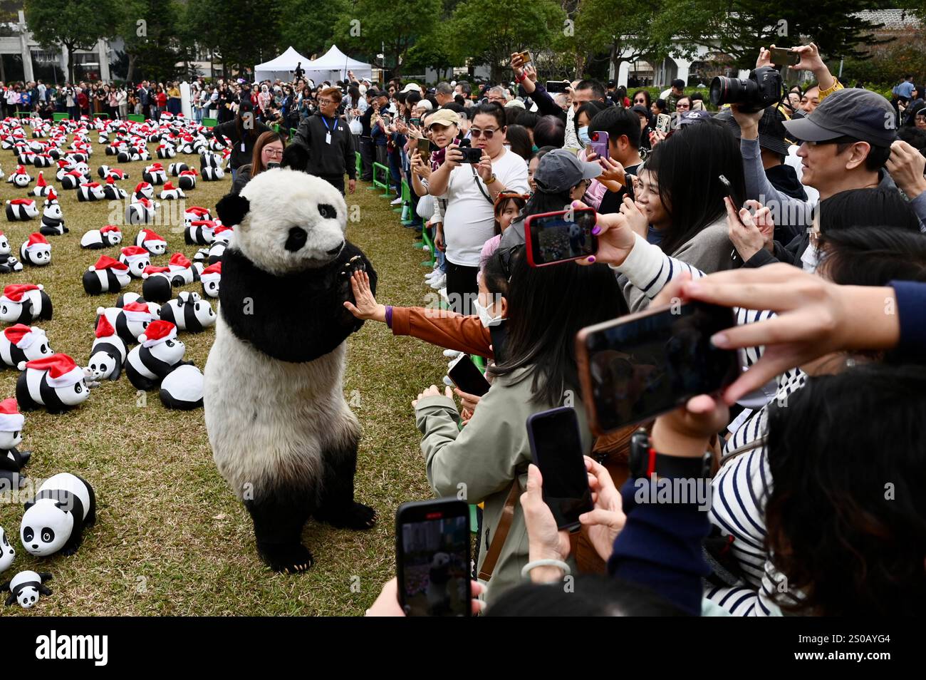 Panda go hong kong tour hi-res stock photography and images - Alamy