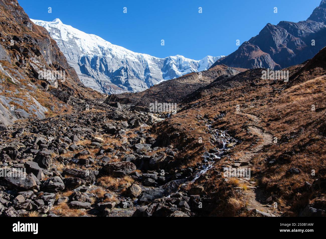 Annapurna North Base Camp Trail winds up over treeless terrain to ...