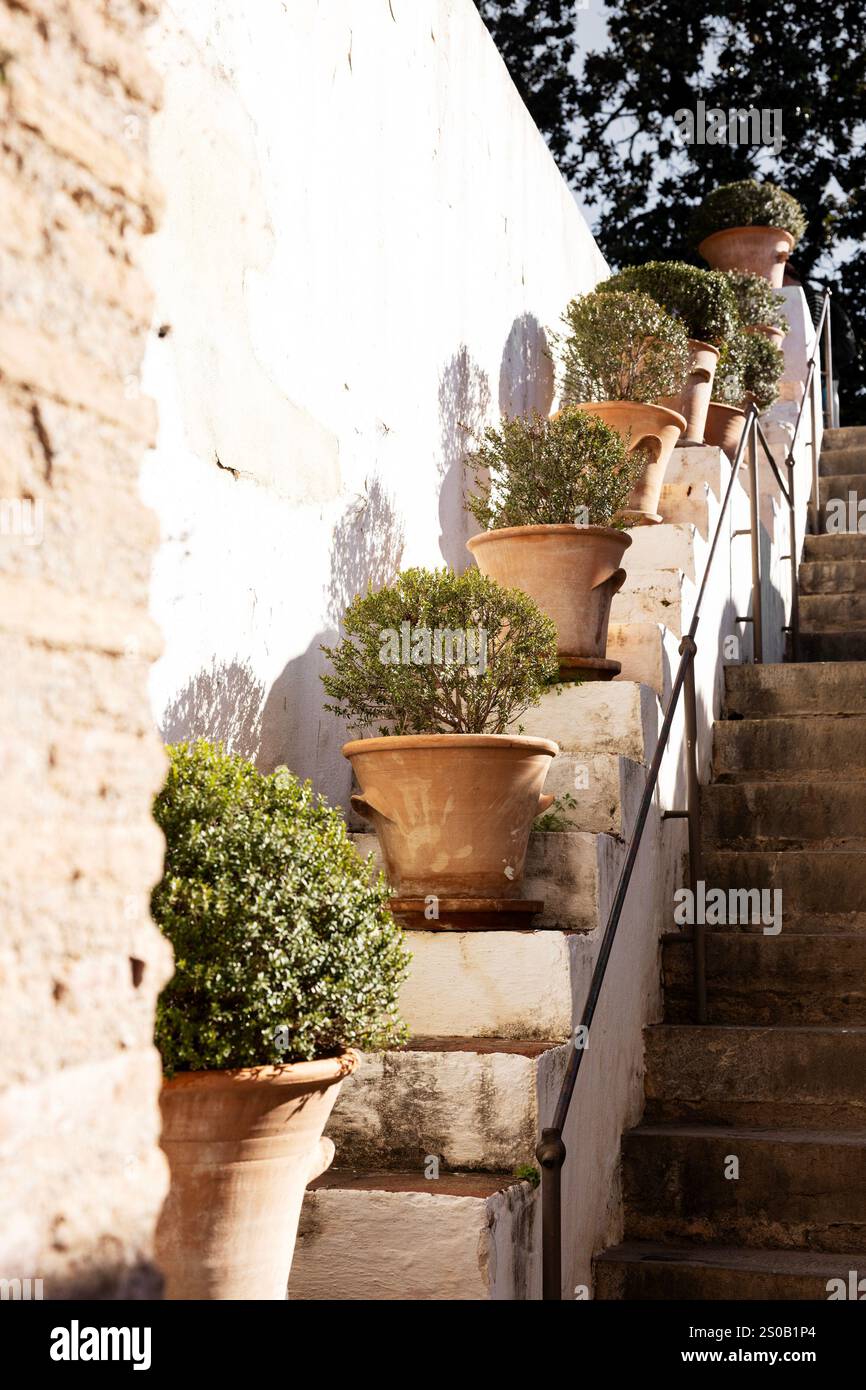 Potted plants line a stone staircase in the Gardens of the Generalife ...