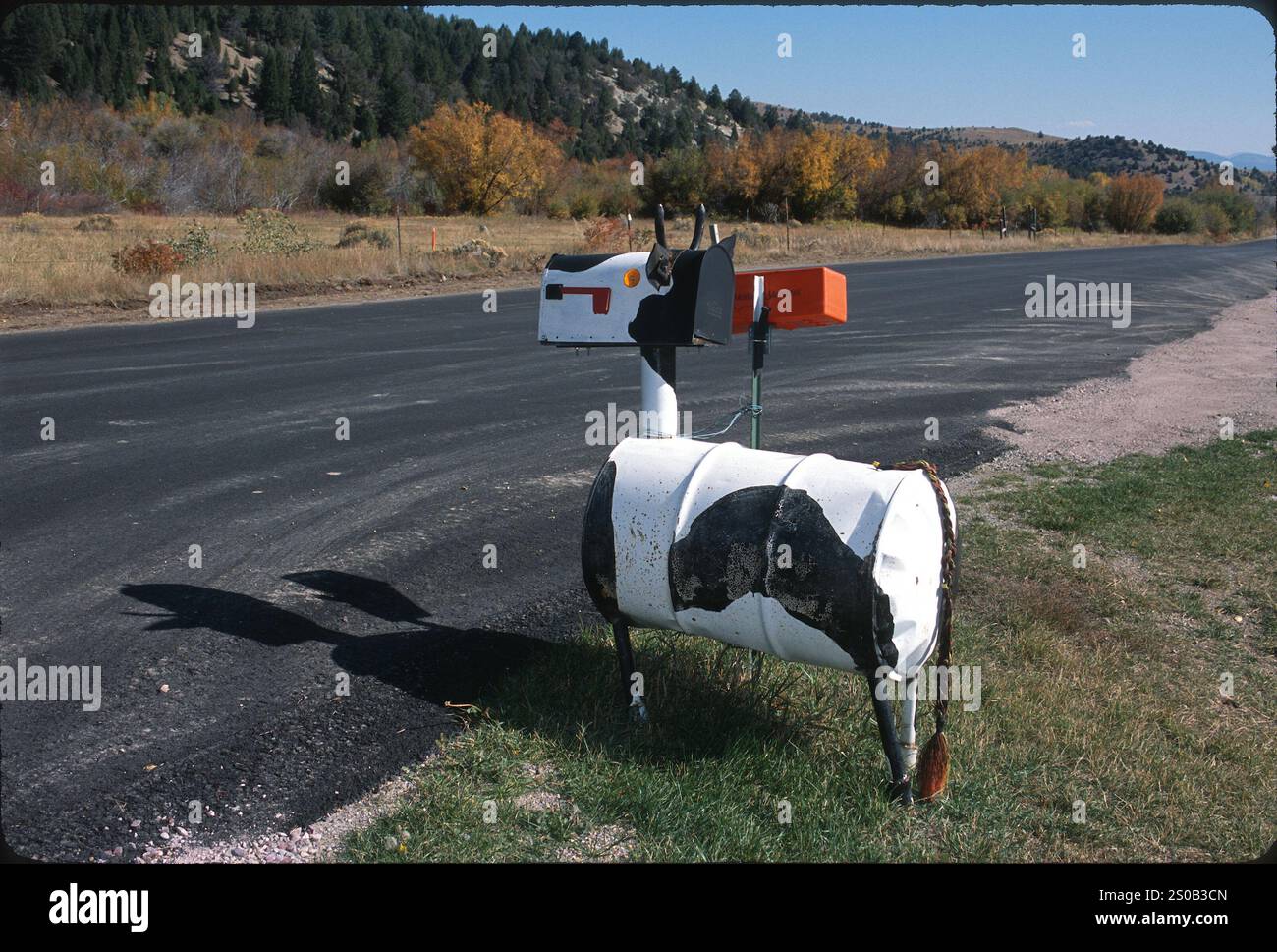 Cow mailbox hi-res stock photography and images - Alamy