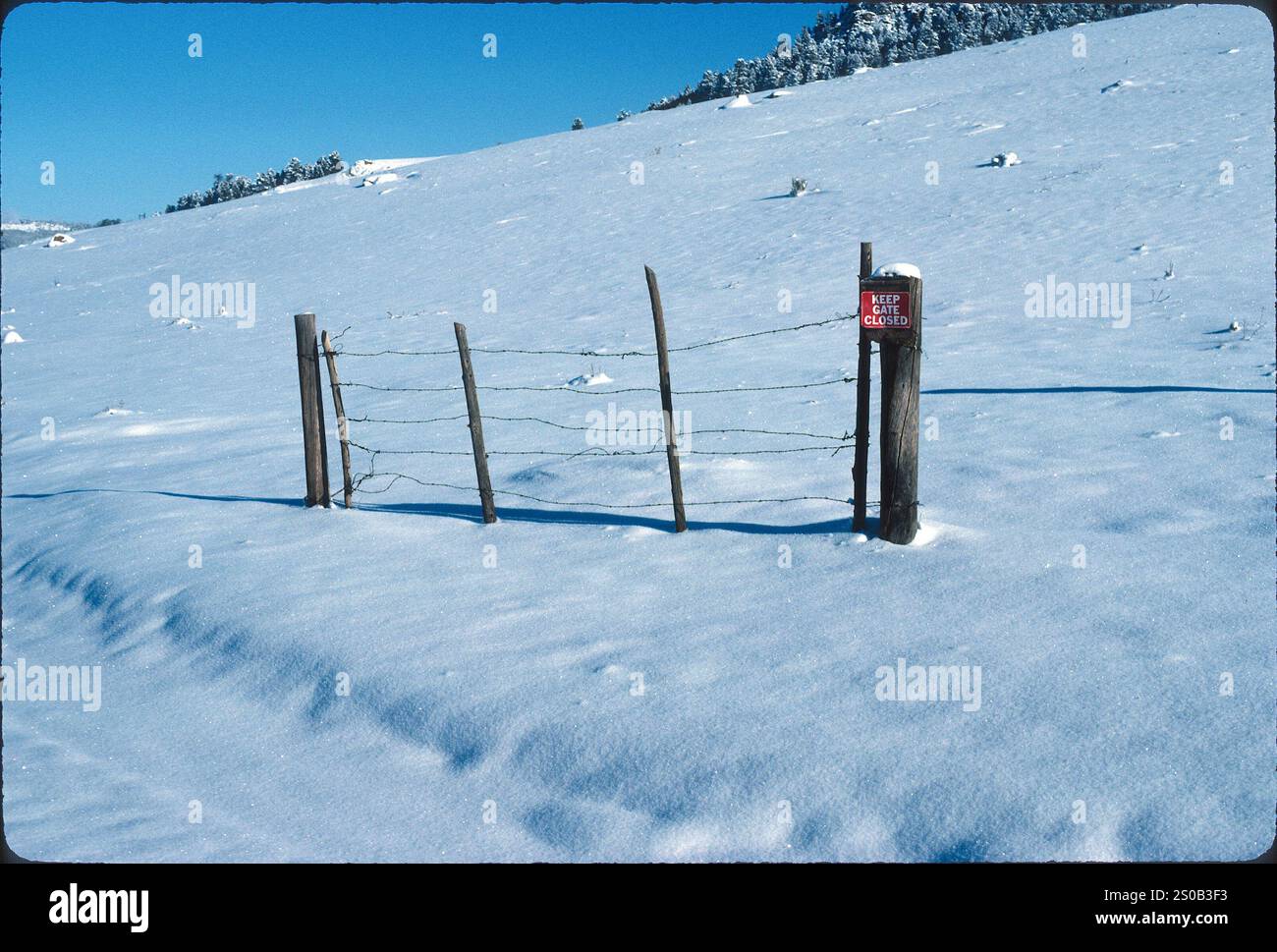 Nonsensical sign "Keep Gate Closed" on barbed wire gate between two ...