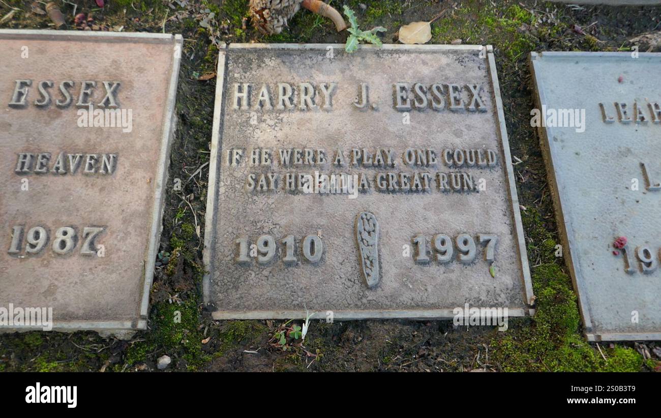Los Angeles, California, USA 26th December 2024 Director/writer Harry ...