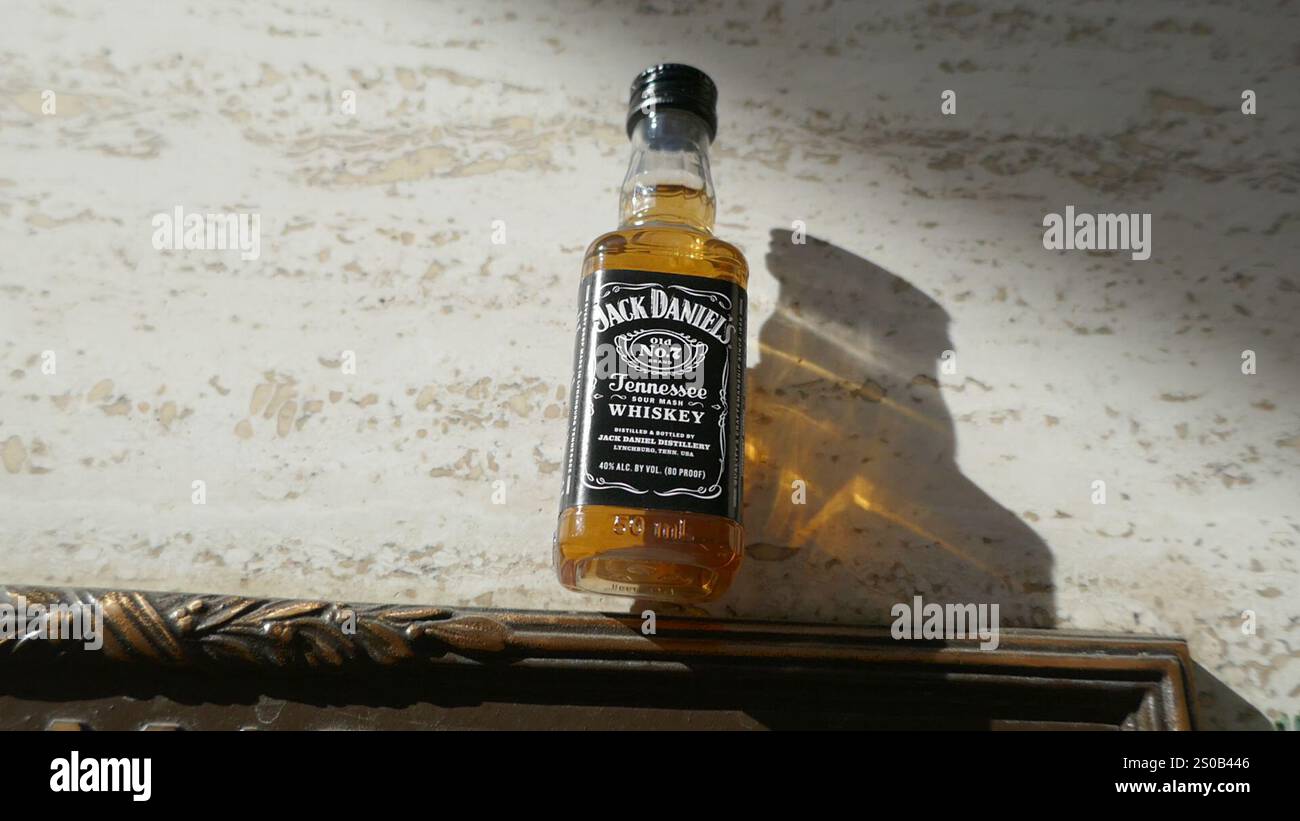 Los Angeles, California, USA 26th December 2024 Singer Dean Martin ...