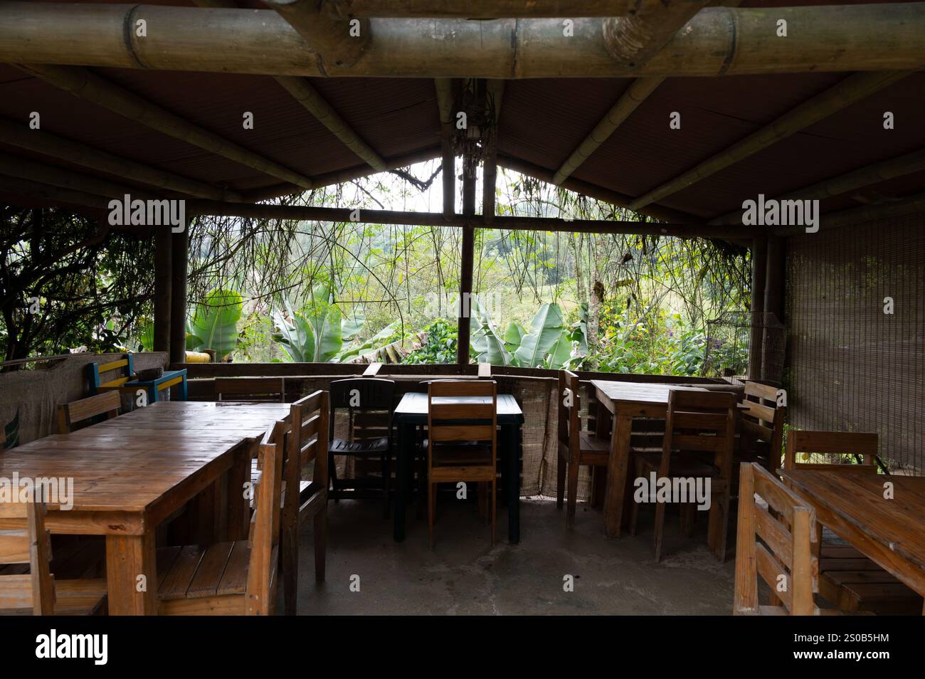 Rustic outdoor dining with a tranquil view. Enjoy a meal surrounded by ...