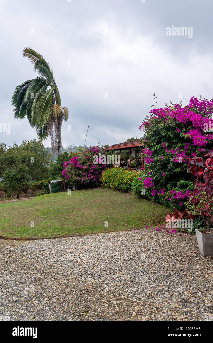 Vibrant blooms and lush greenery create a tranquil oasis. A peaceful ...