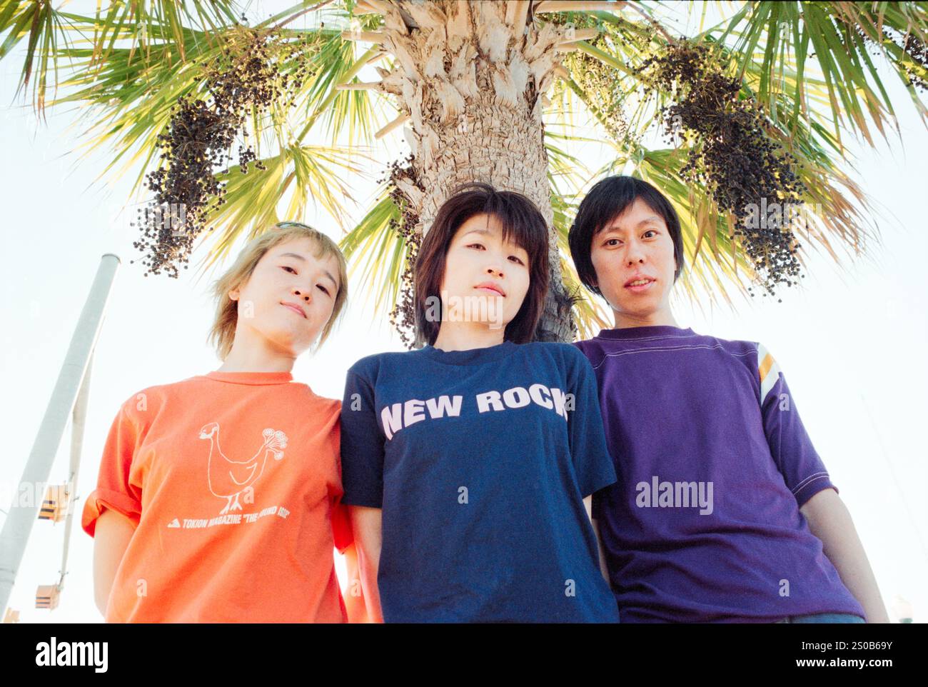 Moog yamamoto hi-res stock photography and images - Alamy