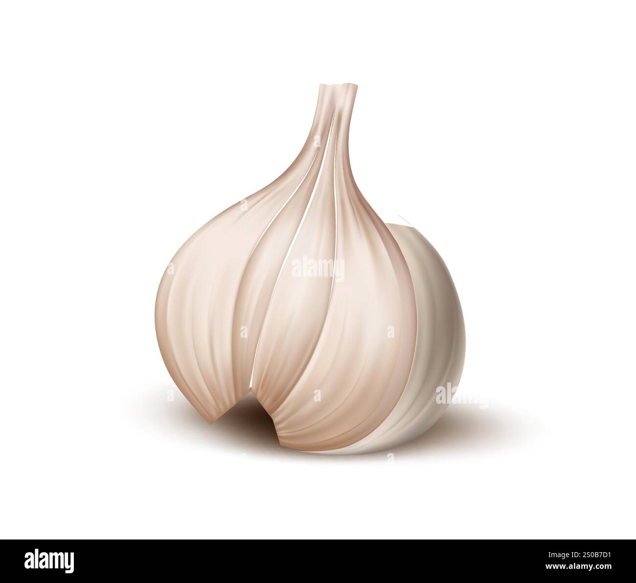 Revealing skin Stock Vector Images - Alamy