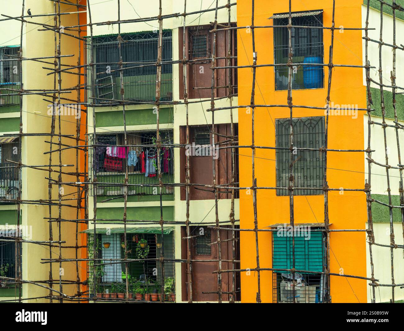 07 23 2021 Bamboo Scaffolding on twenty five year old Seven torey ...