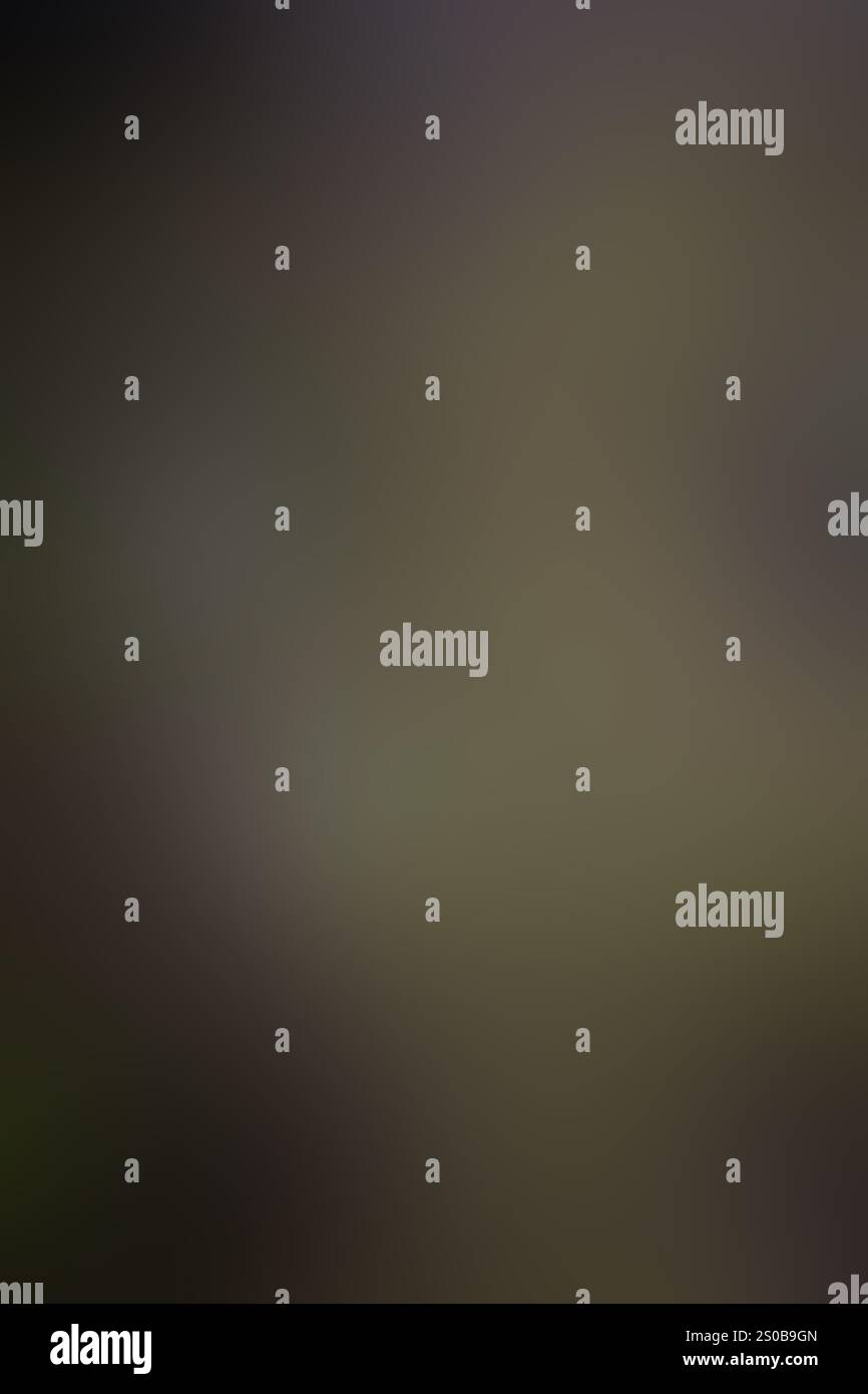 Featuring scattered light spots hi-res stock photography and images - Alamy