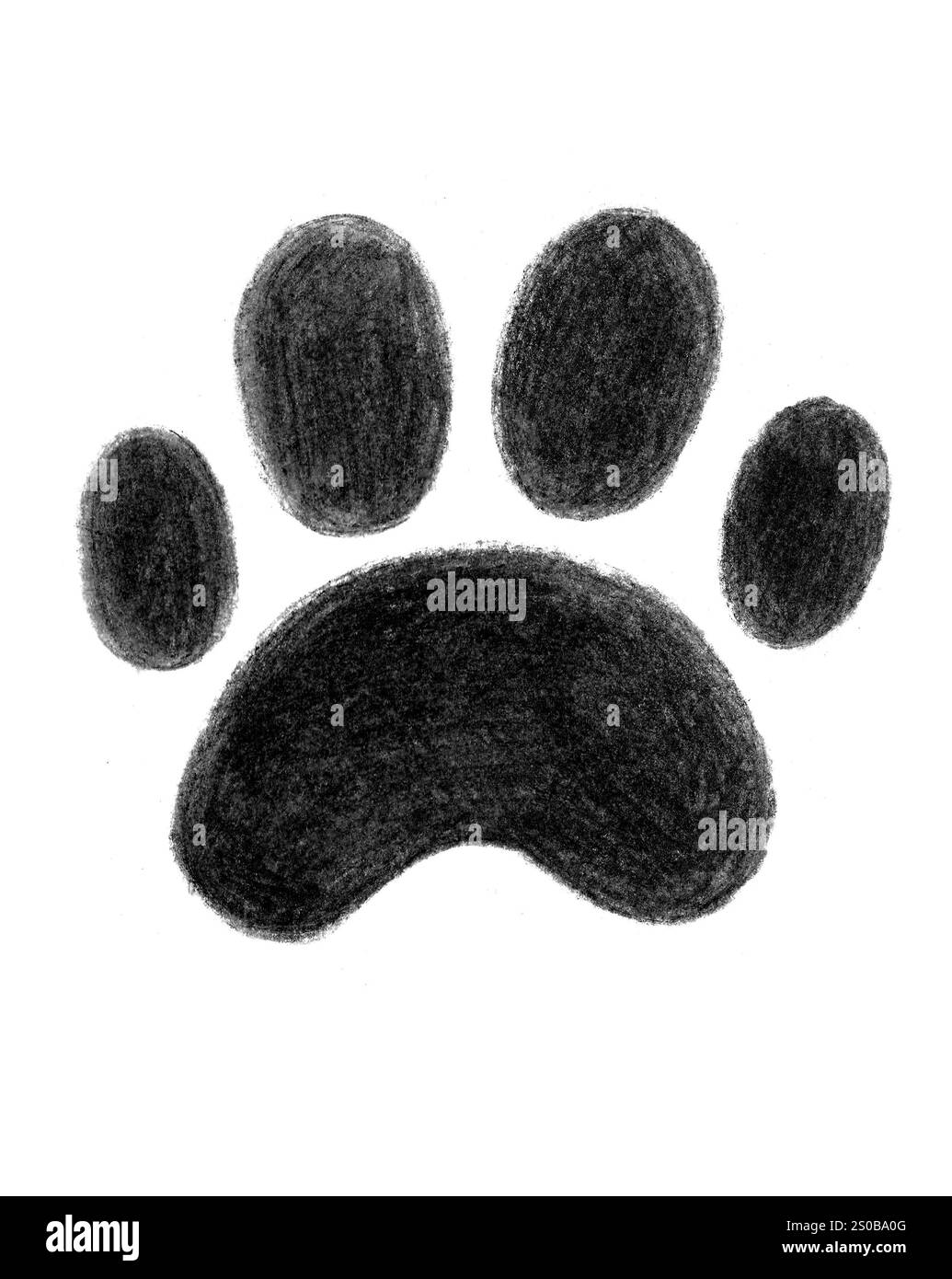 A pet's paw print. Black color. Filled with the texture of pencils ...