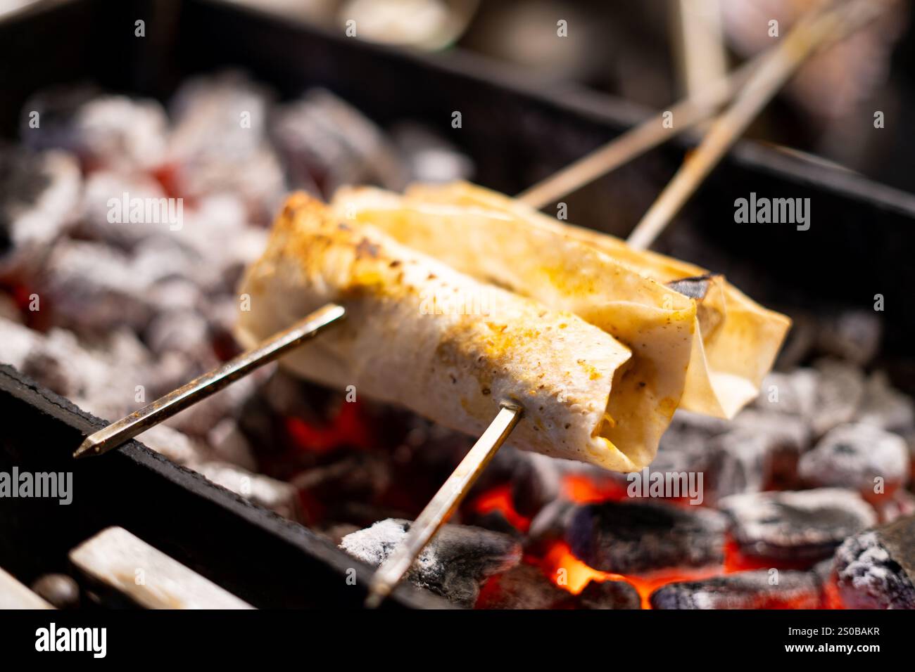 Macro shot showing kebab, meat, paneer, cottage cheese, vegetables ...