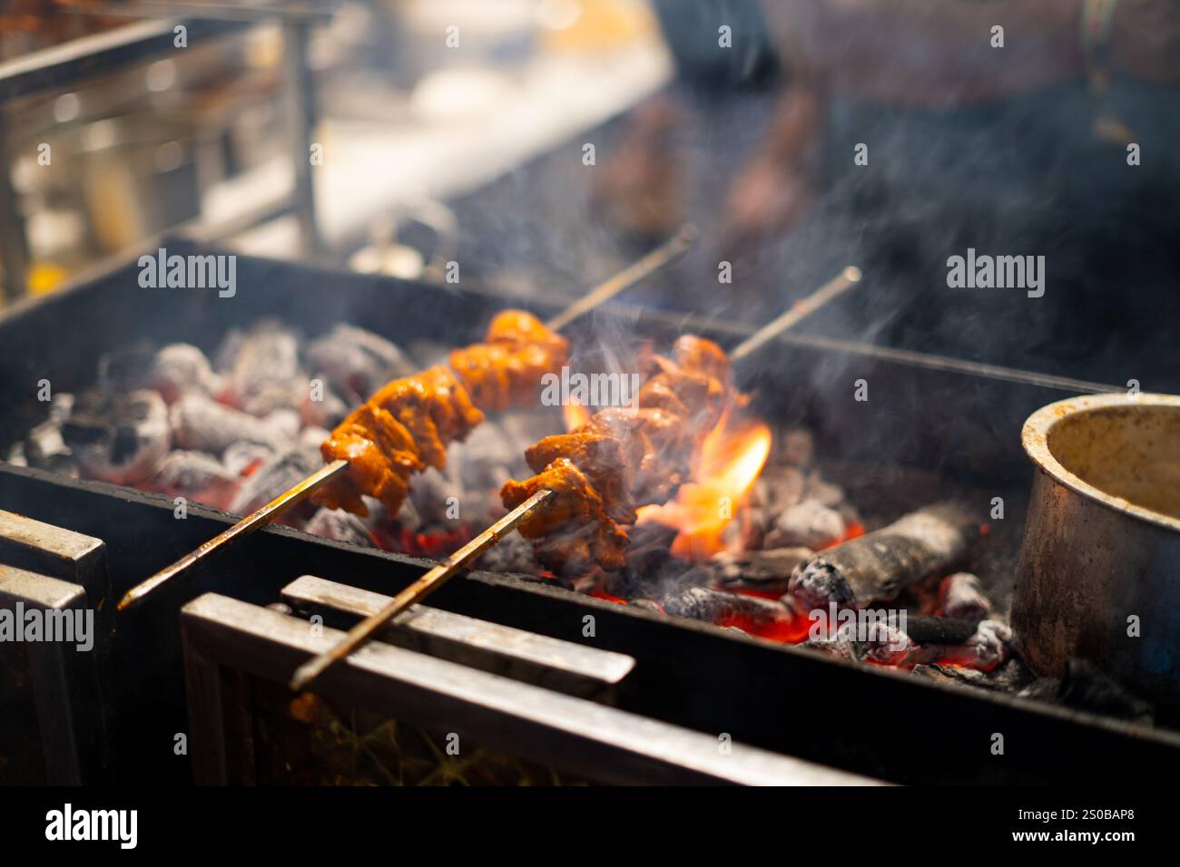 Macro shot showing kebab, meat, paneer, cottage cheese, vegetables ...
