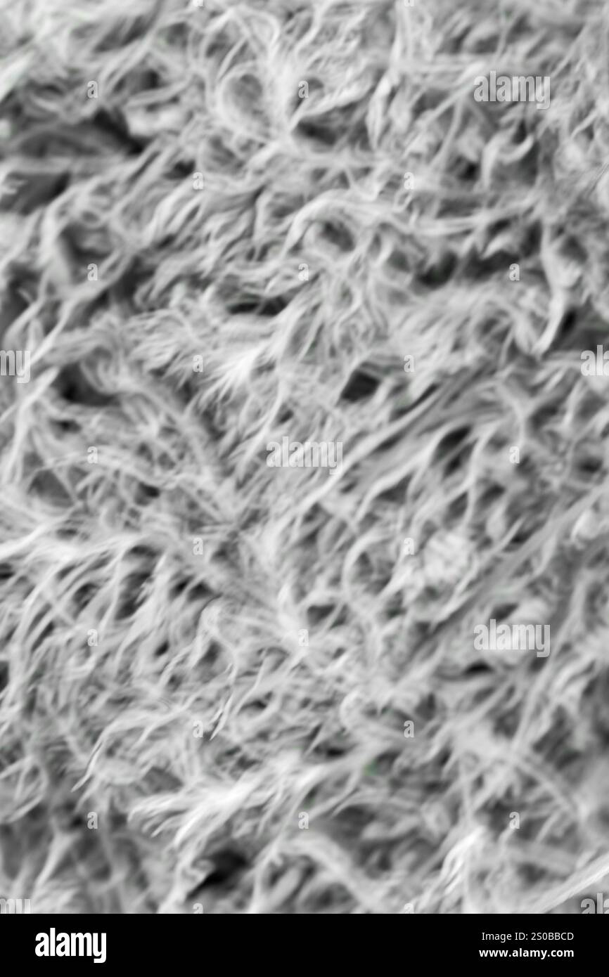 Defocused background gray grass hi-res stock photography and images - Alamy