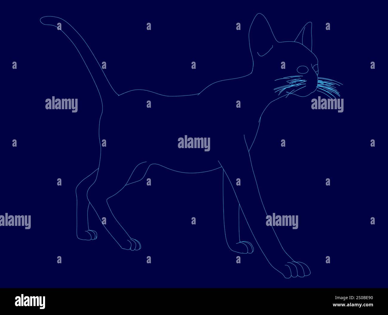 Cat is walking on a blue background. The cat is looking at the camera ...