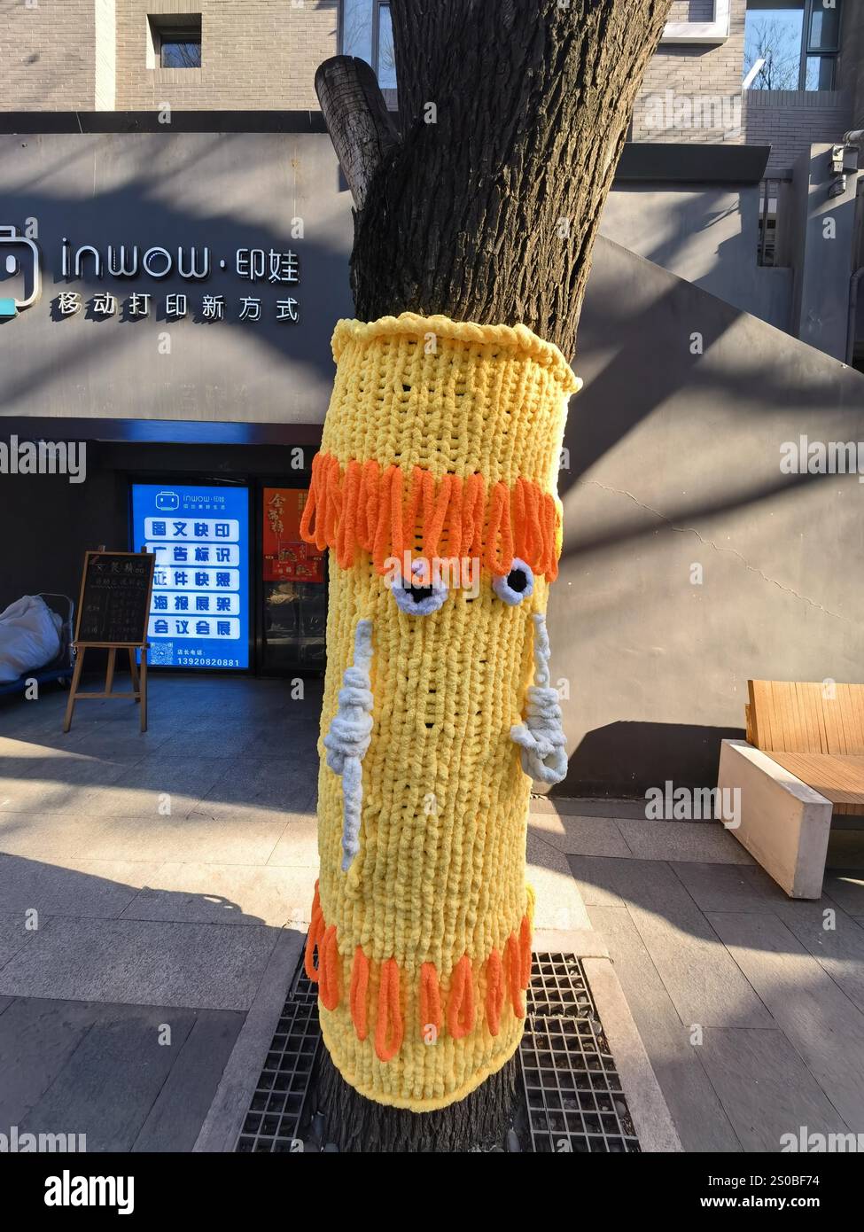 Trees on the street are put on brightly colored "sweaters" for winter ...