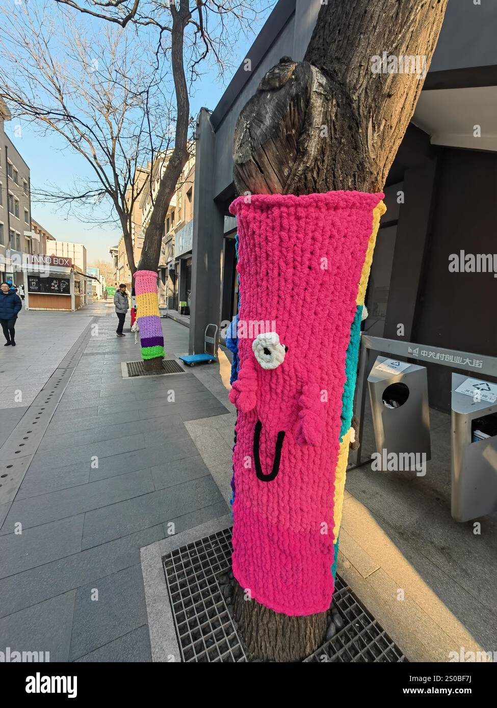 Trees on the street are put on brightly colored "sweaters" for winter ...