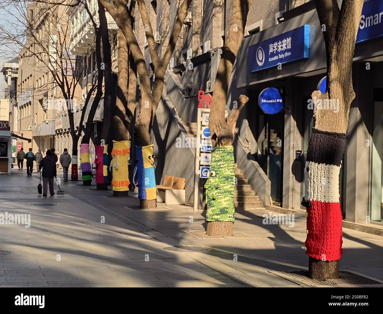 Trees on the street are put on brightly colored "sweaters" for winter ...