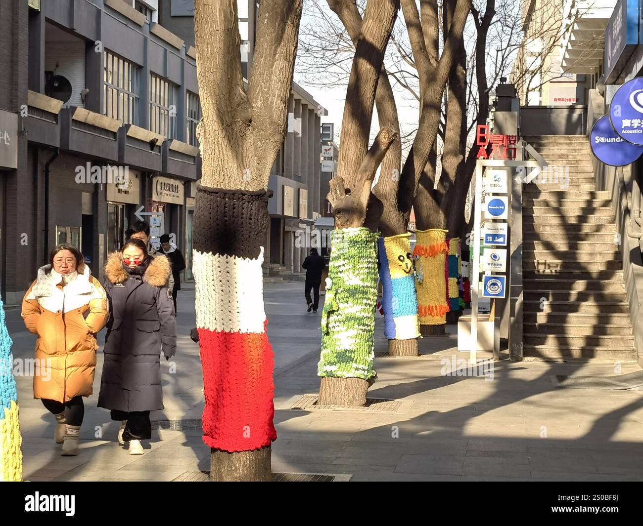 Trees on the street are put on brightly colored "sweaters" for winter ...