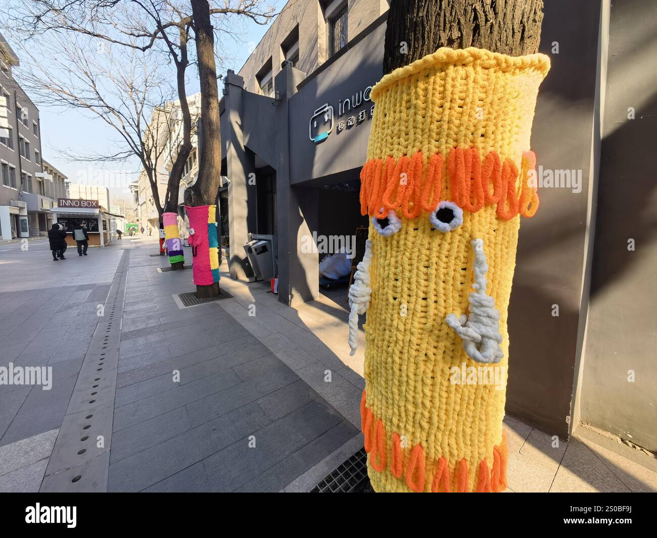 Trees on the street are put on brightly colored "sweaters" for winter ...