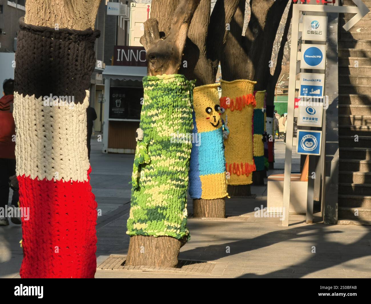 Trees on the street are put on brightly colored "sweaters" for winter ...